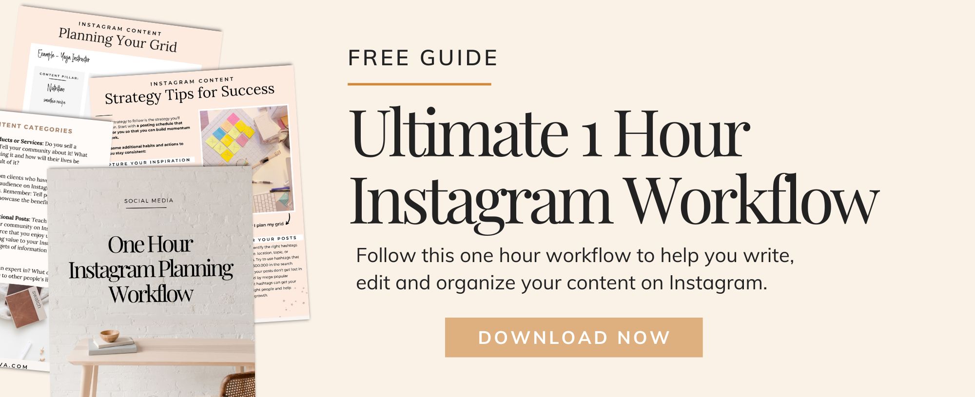 Ultimate 1 Hour Instagram Workflow - NancyCasanova.com